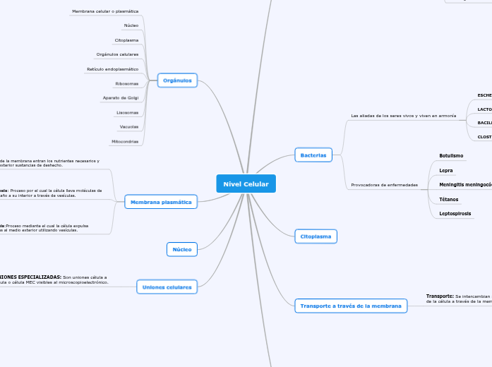 Nivel celular - Mind Map